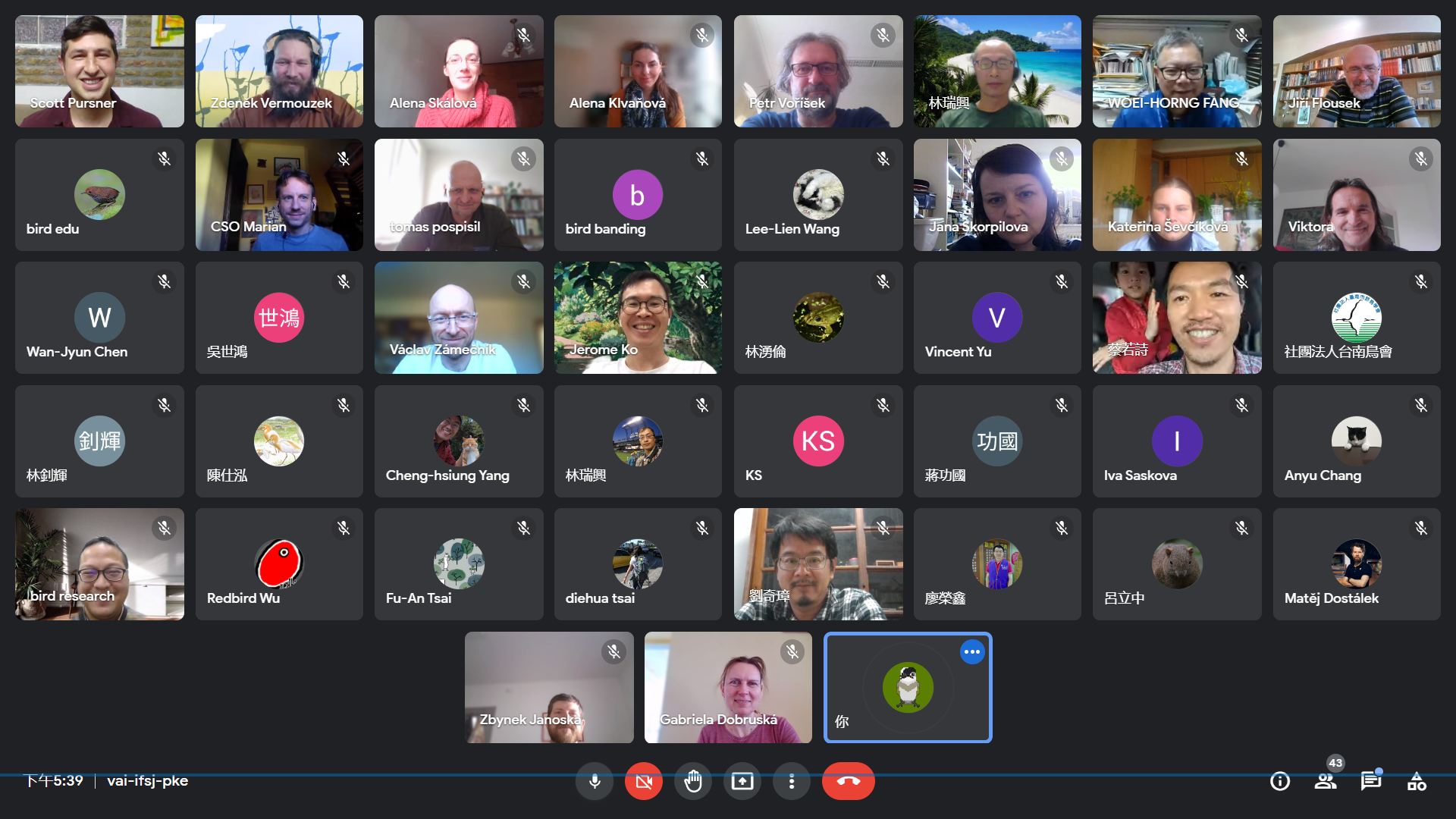 Webinar brings Taiwanese and Czech Bird Research Communities Closer ...