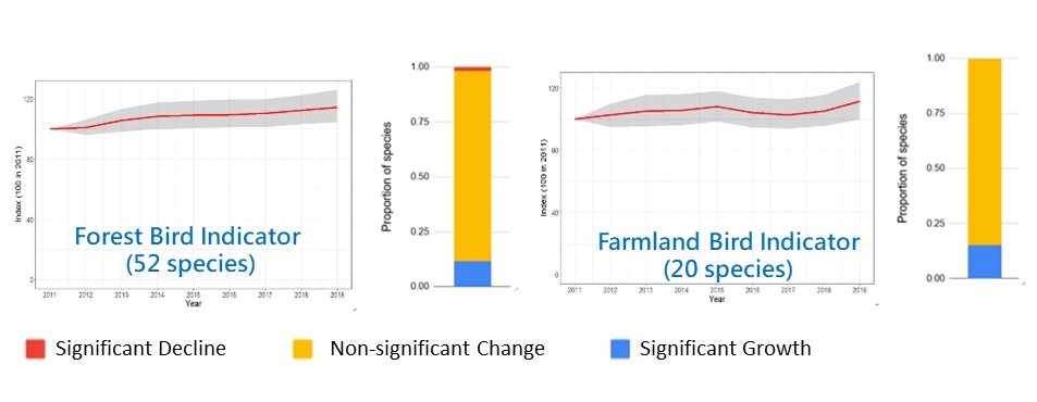 Taiwan Becomes Second Country in Asia to Have National Bird Indicators ...