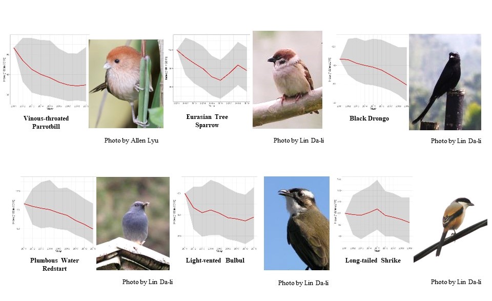 Taiwan Becomes Second Country in Asia to Have National Bird Indicators ...