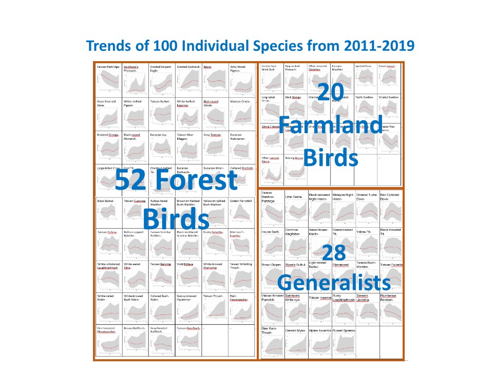 Taiwan Becomes Second Country in Asia to Have National Bird Indicators ...