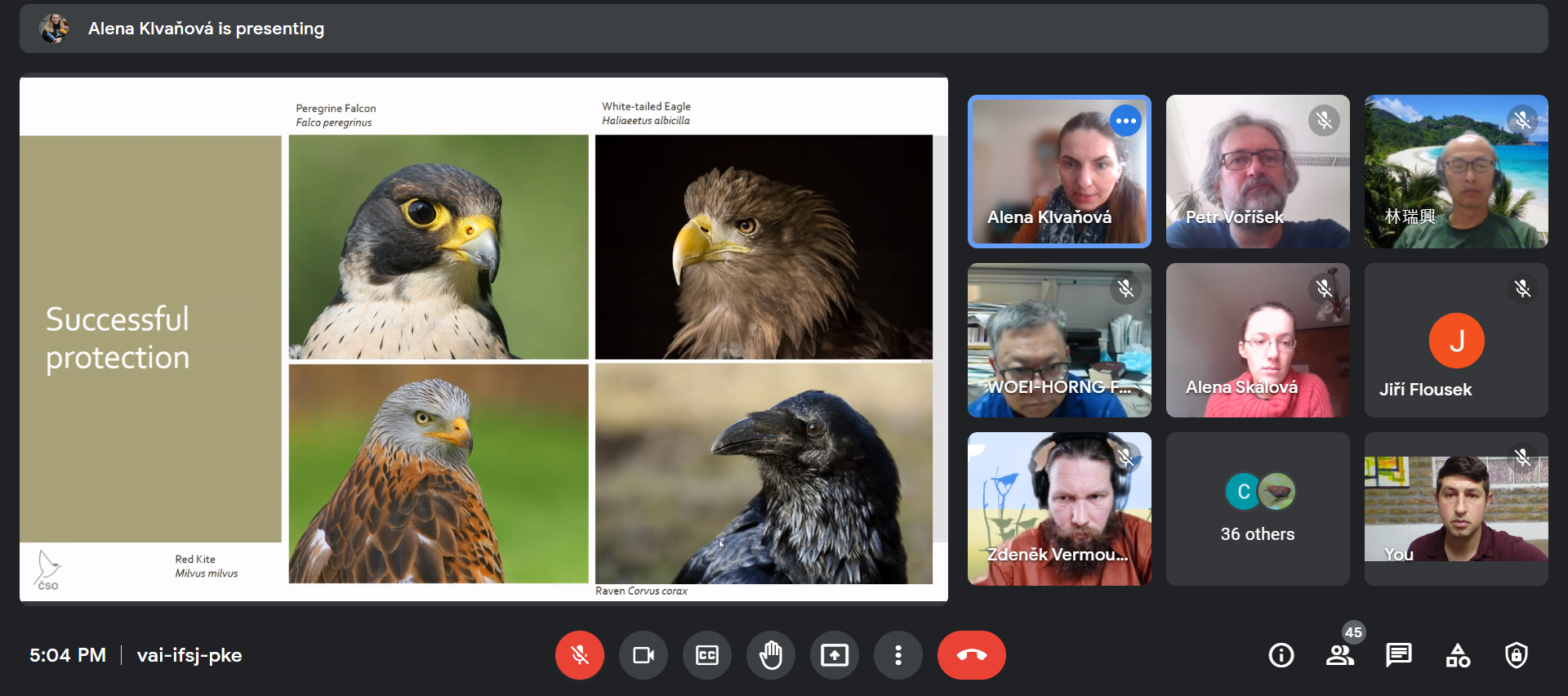 Webinar brings Taiwanese and Czech Bird Research Communities Closer ...